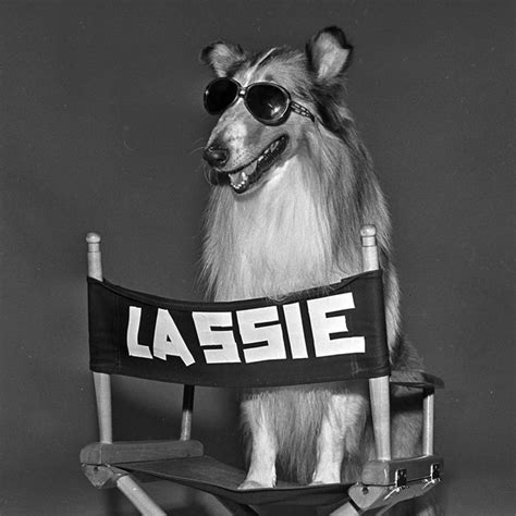 Lassie