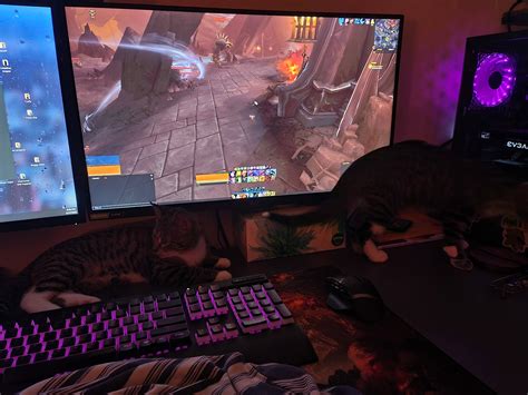 Echte Gamer Girl Vs Nep Gamer Girl Fake Gamer Girl Loving Yourself