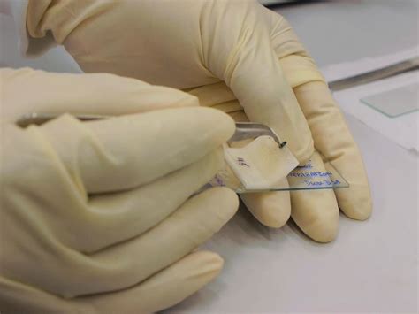视频 使用胶体探针纳米对颗粒 颗粒相互作用进行定量和定性检查