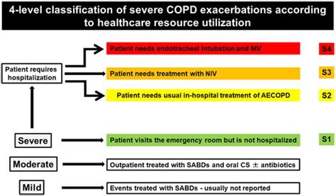 Full Article Proposal For A 4 Level Classification System Of Severe