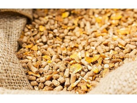 Комбикорм для кур: состав, виды и рецепты приготовления