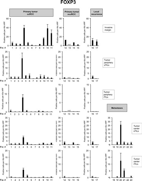 Overview Of Counts For Foxp3 Tumor Infiltrating Lymphocytes Tils