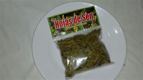 Hojas De Sen Propiedades Youtube