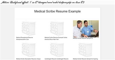 Medical Scribe Resume Example