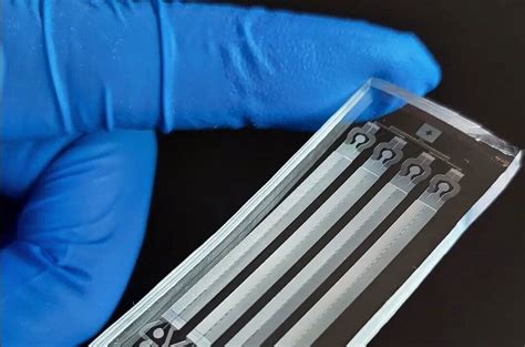 Researchers Pioneer Novel Microfluidic Method To Optimize Bone Marrow Stem…