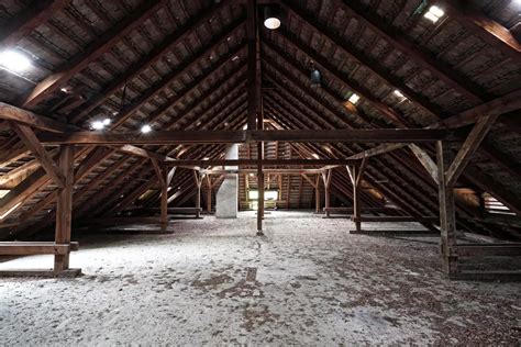 Chilling Phrogging Act Explained As Random Man Found Living In Old Womans House