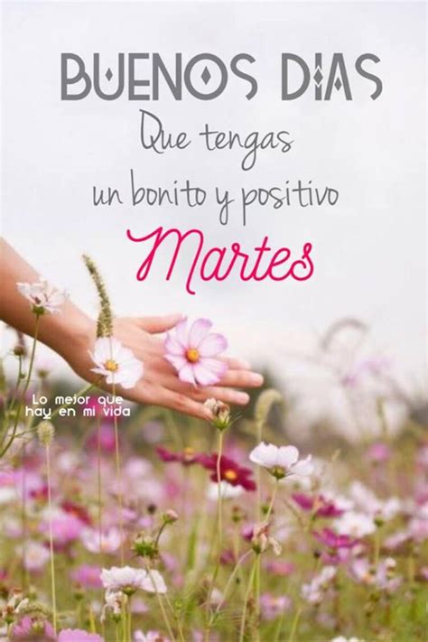 Feliz Martes Dios te bendiga imágenes bonitas 4 ImagenesBuenosDias net