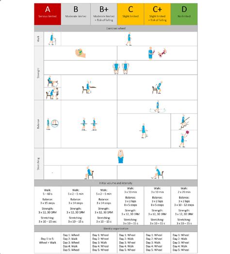 Summary Of The Vivifrail Multicomponent Exercise Intervention Program Download Scientific