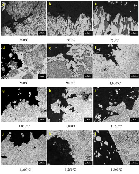 Metallographic Structure Of Hot Stretching Fracture Section At Download Scientific Diagram