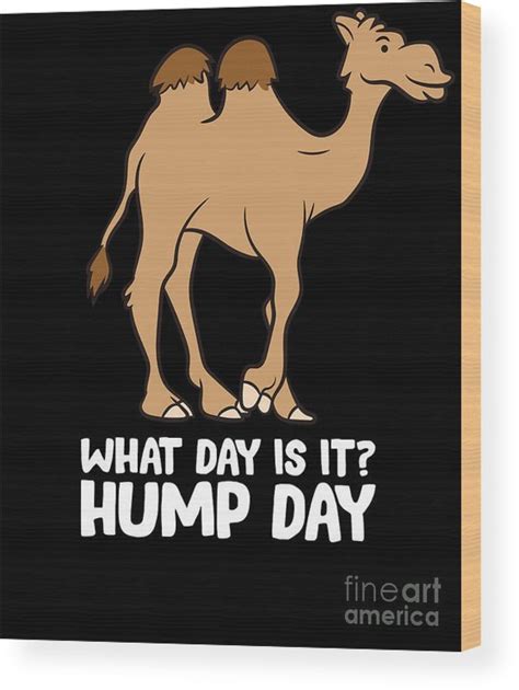 Free Hump Day Clipart Download Free Hump Day Clipart Png Images Free Cliparts On Clipart Library