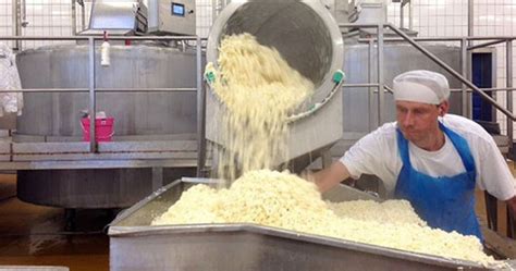 Mammen Mejerierne Fortsætter Den Vilde Vækst