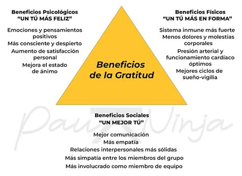 Yin Y Yang Significados Y Usos Que Despertarán Tu Curiosidad