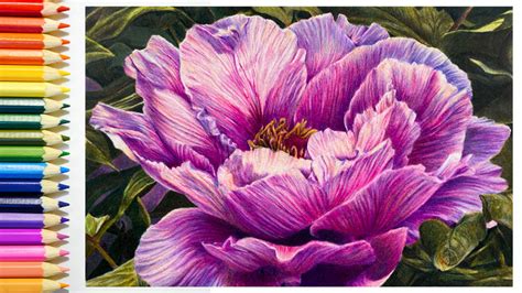 Flowers Drawing With Color Pencil