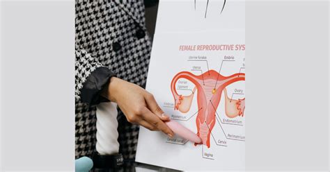 Estrogen 3 Powerful Tips And 15 Conditions And Disorders Associated