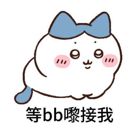 Chiikawa粤语表情包丨广东人聊天必备 可爱猫咪表情乖巧，配文 等bb嚟接我”，尽显萌态与期待表情包图片动图 求表情网斗图从此不求人