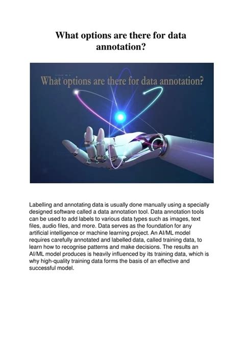 Ppt What Options Are There For Data Annotation Powerpoint