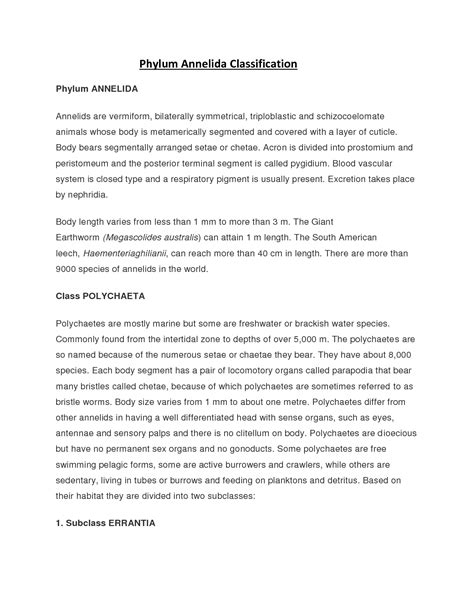 Solution Phylum Annelida Classification Studypool