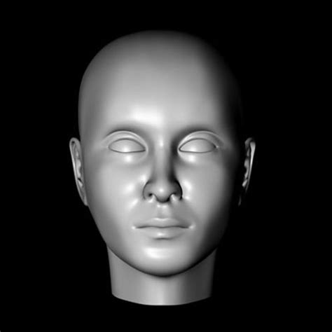 Female Head Reference