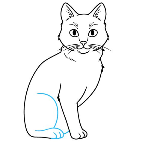 How To Draw A Realistic Cat Really Easy Drawing Tutorial