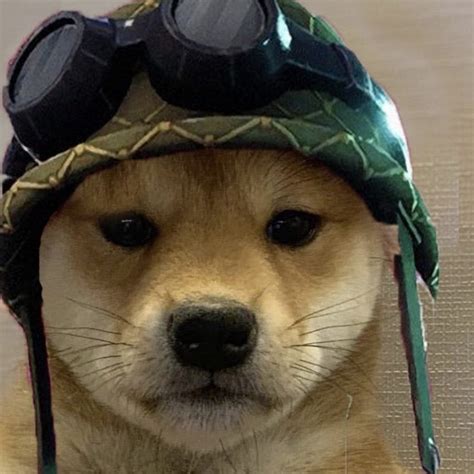 Military Doge Army Youtube