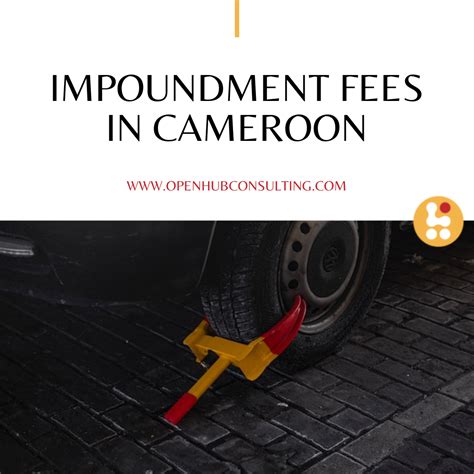 Impoundment Fees Promoting Order And Enforcement