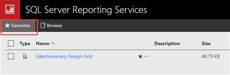 SQL Server Reporting Services SSRS 2017 Website Security And Options