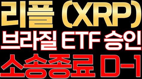 리플 Xrp 2월 21일 결국 이렇게 된다🔥 리플 비트코인 트럼프 일론머스크 Sec 리플전망 Xrp 알트추천 🔥 Youtube