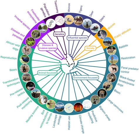 Hierarchical Cluster Dendrogram Fan Plot Showing The Similarities Download Scientific Diagram
