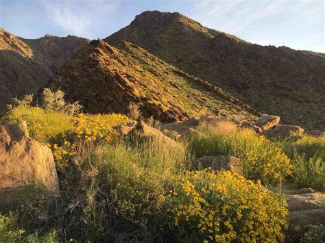 Borrego Springs Hiking Palm Canyon Mile Marker Memories