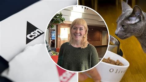 Höjt Csn Bidrag Elsa Vill Köpa Mer Kattgodis P4 Väst Sveriges Radio