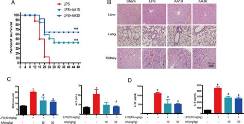 Protective Effect Of Aa Against Lps Induced Sepsis In Mice Balbc Mice