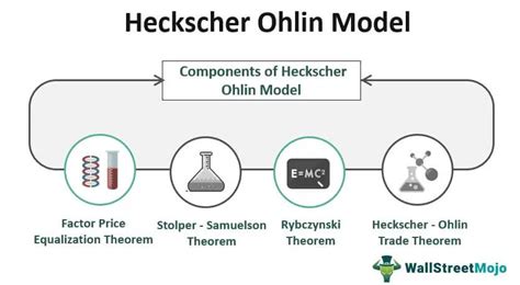 Heckscher Ohlin Model What Is It Assumptions Example