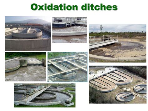 Ppt Introduction To T He T Reatment Of Tannery Effluents Powerpoint