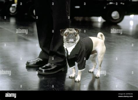 Men In Black Frank