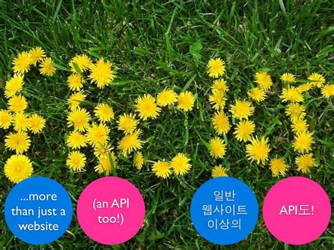 the flickr api an introduction for korean developers pdf internet