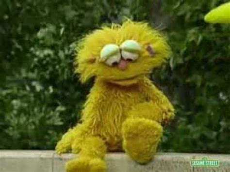 Sesame Street Big Bird And Zoe Same And Different Youtube
