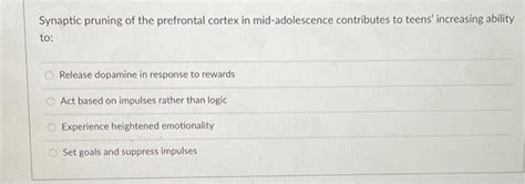 Solved Synaptic Pruning Of The Prefrontal Cortex In