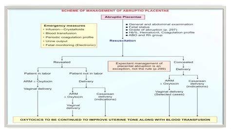 Antepartum Bleeding Pptx Pregnancy Reproductive Health