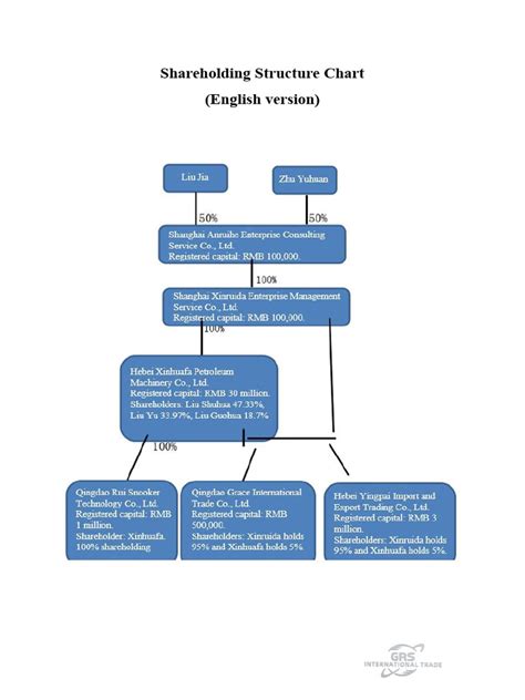 Shareholding Structure Chart Pdf