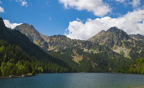 Supporting High Quality Esrs Implementation Accountancy Europe