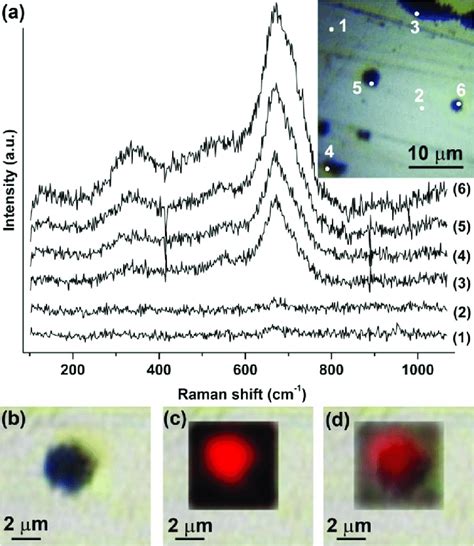 A Micro Raman Spectra Acquired From The Selected Spots Of The Ms Download Scientific Diagram