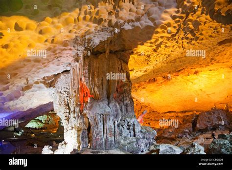 Asia Vietnam Halong Bay Halong Sung Sot Cave Surprise Cave Cave