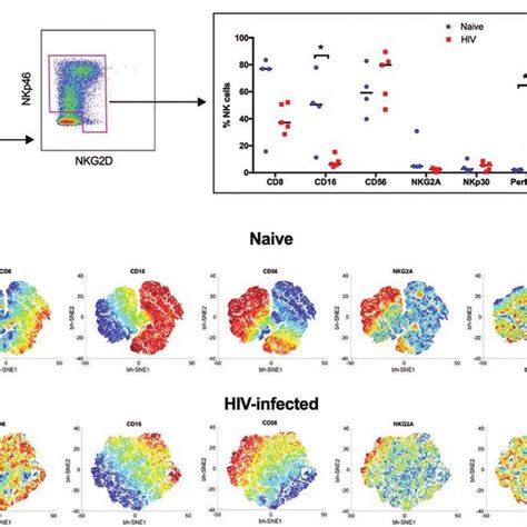 Suggested Gating Strategy For Nk Cell Identification A Download Scientific Diagram