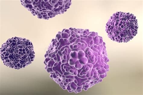 The Structure Of The Enterovirus Stock Vector Illustration Of