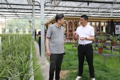 周令飞院长：文化赋能乡村振兴 北京语言大学一带一路研究院