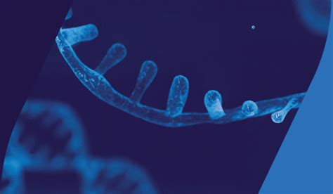 Population Scale Mrna Manufacturing Manufacturing Mrna Victoria