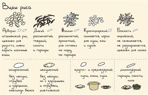 Виды риса с фото, описание, названия, способы приготовления