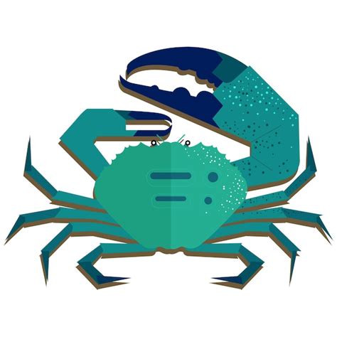 Premium Vector Colorful Crab Vector