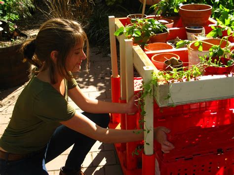 Dana Lightbourne Bechert Compostgarden System