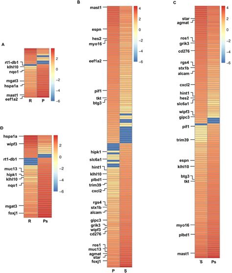 heat map representation of significantly differentially expressed